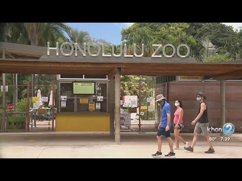 Honolulu Zoo will offer free admission Saturday to pre-registered coronavirus vaccine recipients