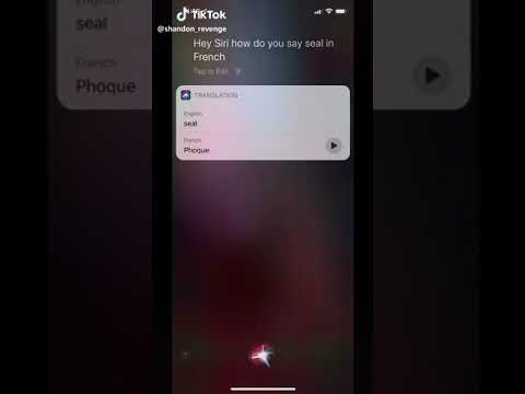 Hi siri how do you say seal in french | funny conversation with siri
