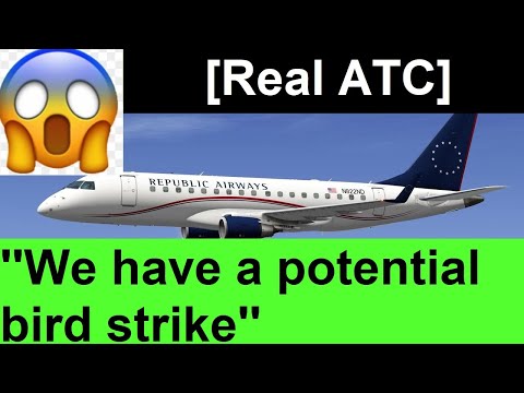 [ATC recording]: Republic Airways E170 experiences bird strike on takeoff