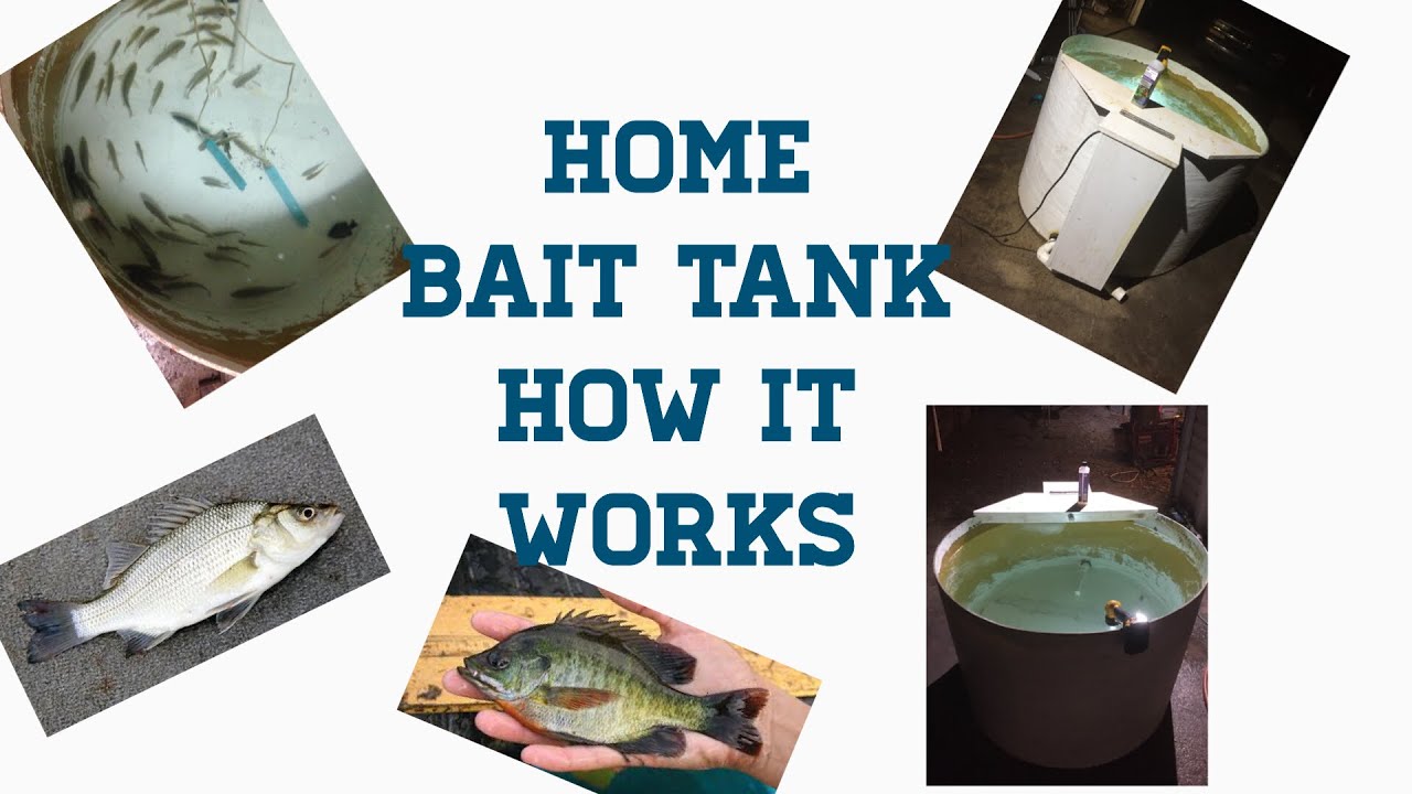 MY HOME BAIT TANK/ LIVEWELL  HOW IT WORKS