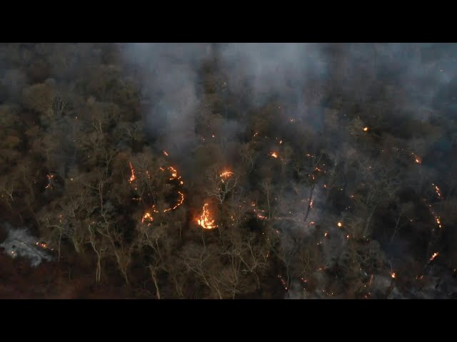 Bolivian Forest Fires: Causes and Fire Dynamics of the Bolivian Amazon