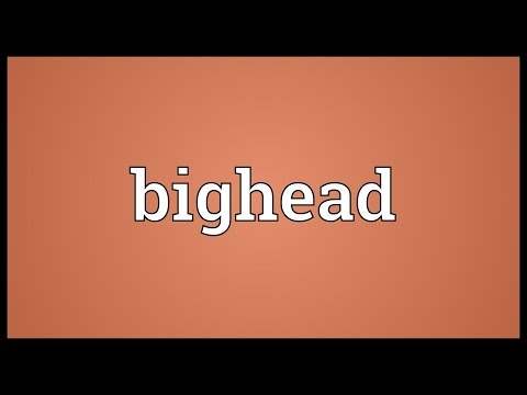 Bighead Meaning
