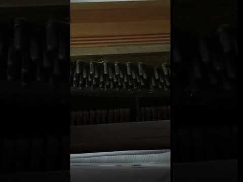 Collisions to my Ears – Daniel Neuwirth Physics Scrapbook