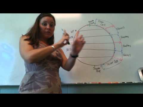 Global Prevailing Winds