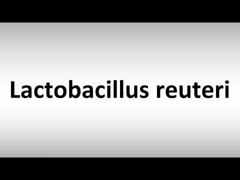 How to Pronounce Lactobacillus reuteri
