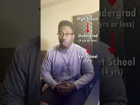 Timeline of Becoming a Veterinarian #shorts #vetstudent #video