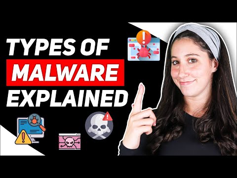 Malware: Difference Between Computer Viruses, Worms And Trojans