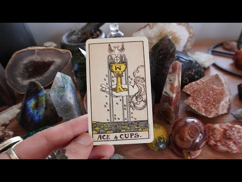 Ace of Cups 🌊 Tarot Card Meaning, Symbolism, and 6 Examples