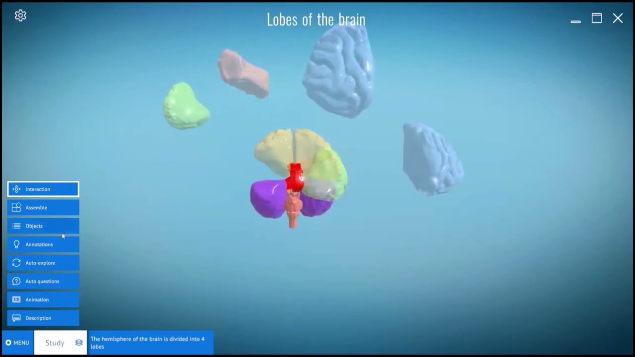 Tutorial #3 Navigation and Interface
