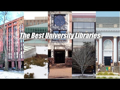 What Makes a Good University Library? (ft. W&M, UMich, BYU, NYU, UVA)