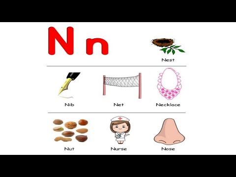 Words that Start with N / N Words For Kids Easy learning videos for kids