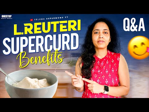 Benefits of L.Reuteri Yogurt recipe in Telugu | Super Curd | SIBO Curd | Q & A on L.Reuteri