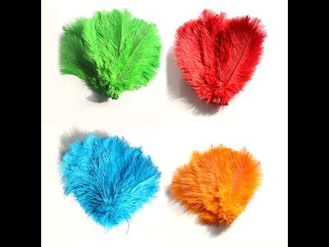 Wholesale Cheap Colorful Ostrich Feather