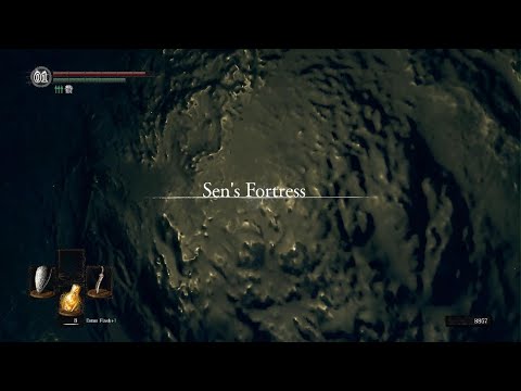 The fabled "Sen Skip"