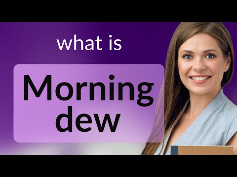 Understanding "Morning Dew": An English Phrase Explored