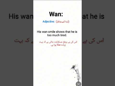 wan sentence #wan meaning in Urdu #wan adjective #