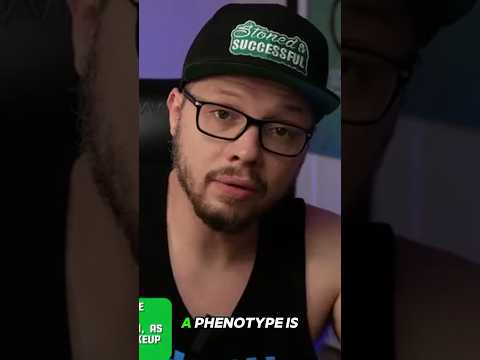 Understanding Phenotype vs Genotype