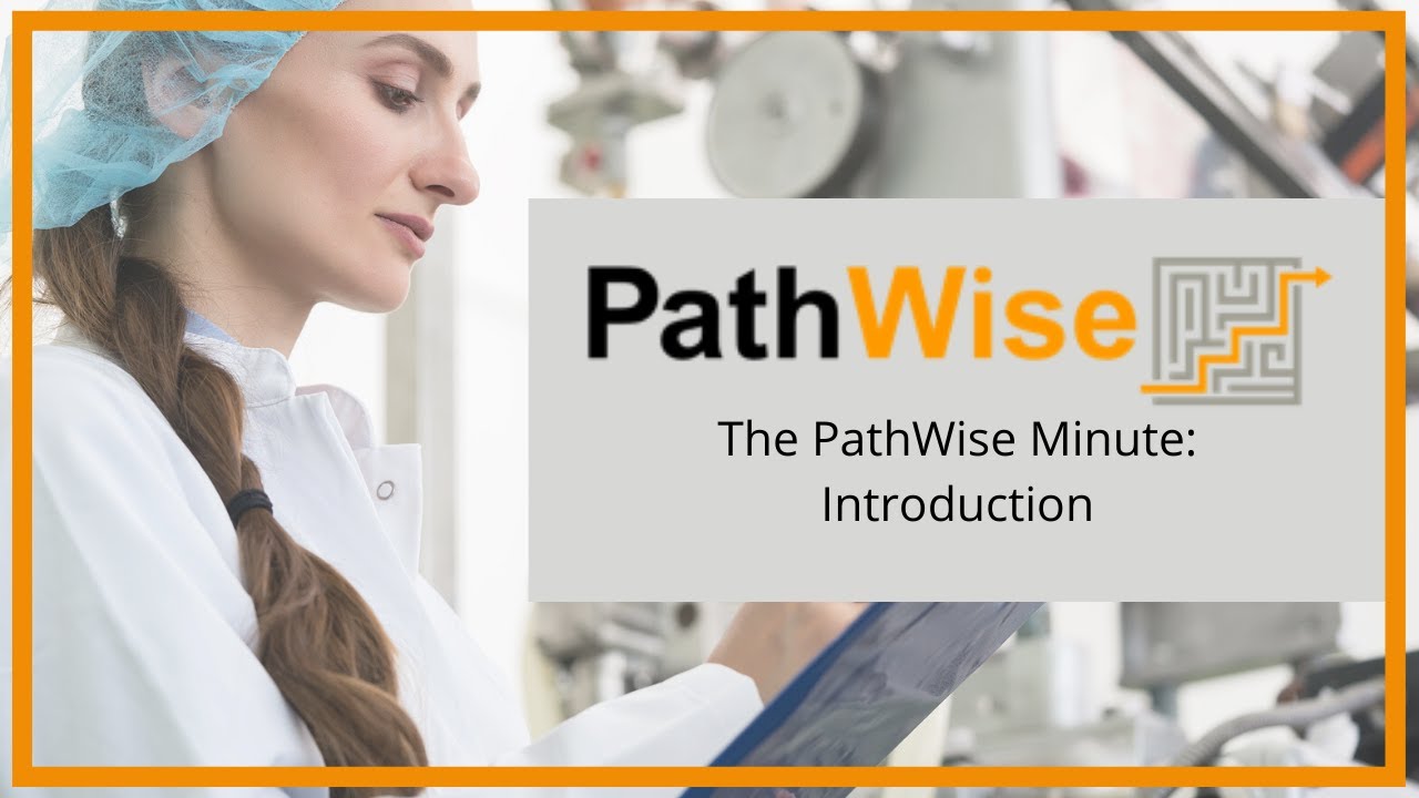 PathWise Minute- Introduction.