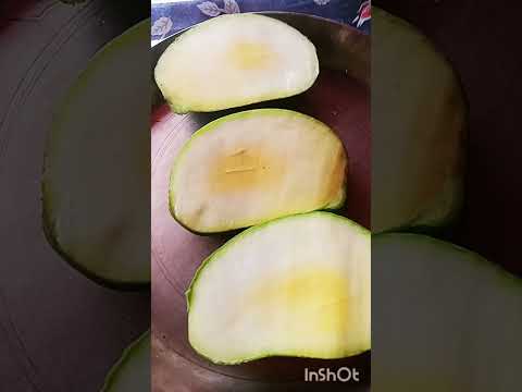 Raw Mango# viral# with Viral song#trending# π₯π₯π₯π₯π₯ππππ