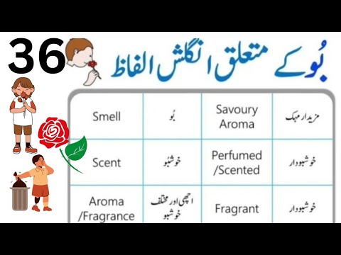 Fragrance Vocabulary with Urdu Words Meaning#English Speaking Course