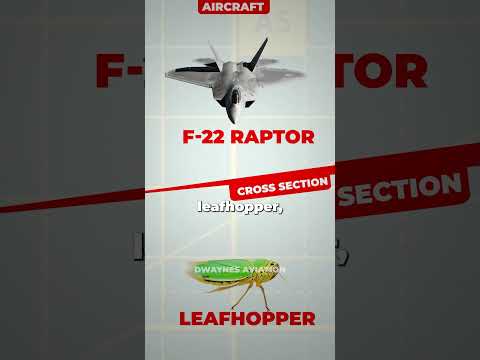 Fighter Jets vs Radar: Size Surprises!