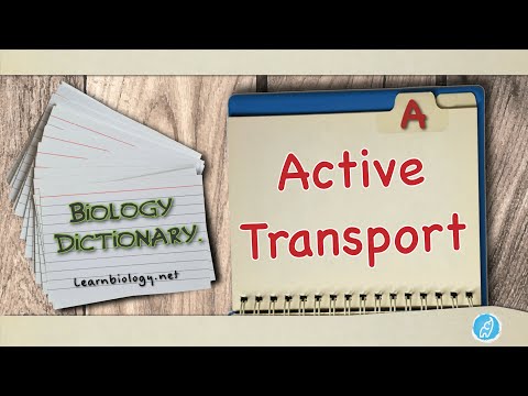 Biology Definitions | Active Transport | Biology Dictionary | Defining Active Transport