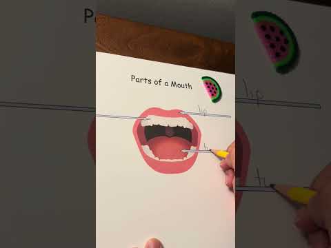 Pronunciation and Spelling of Parts of a Mouth #englishvocabularyforbeginners #vocabularybuilding