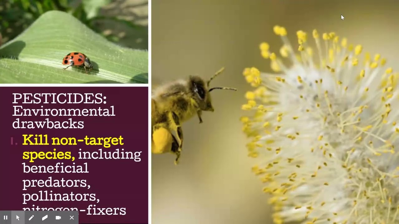 PPT 5 6 Pest Control Methods