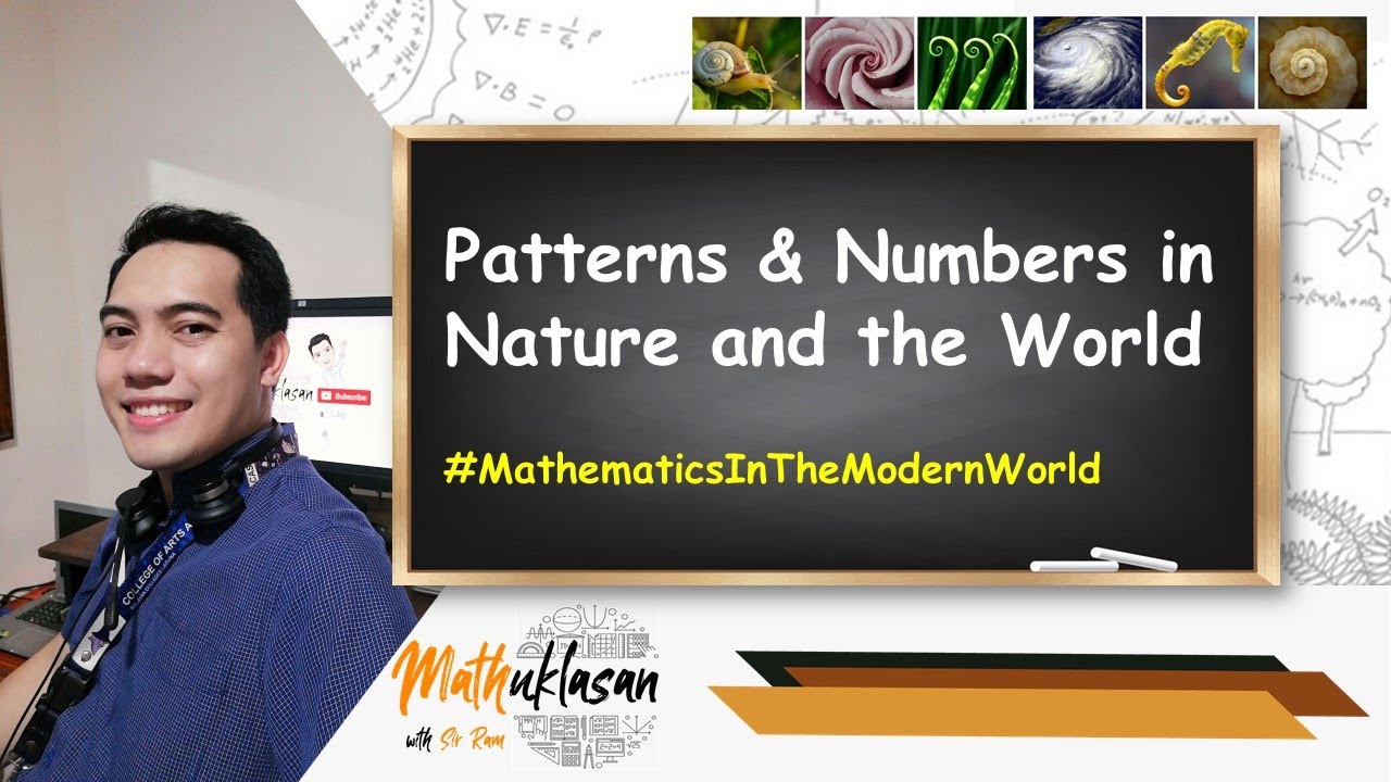 Exploring the Beauty of Patterns and Numbers in Nature | Galaxy.ai