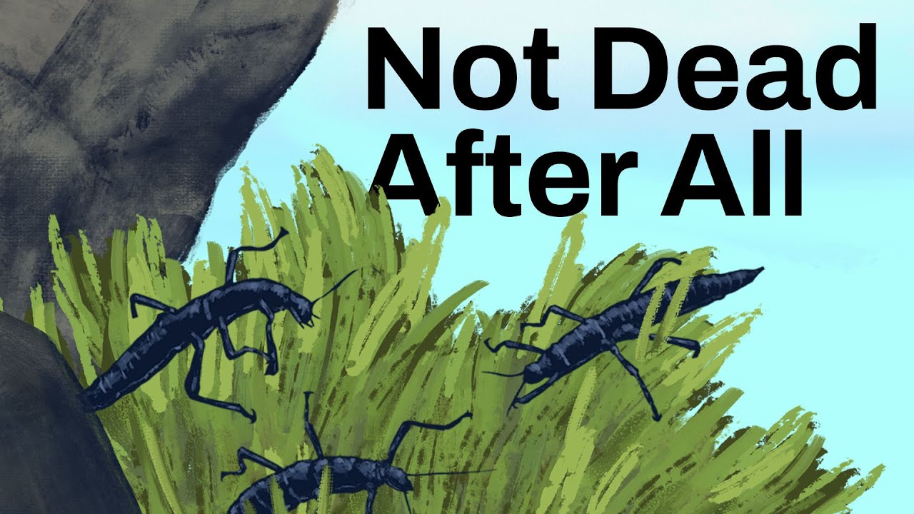 When We Get Extinction Wrong