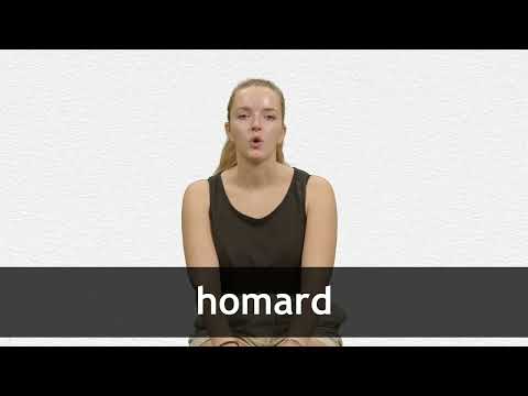 English Translation of “HOMARD” | Collins French-English Dictionary