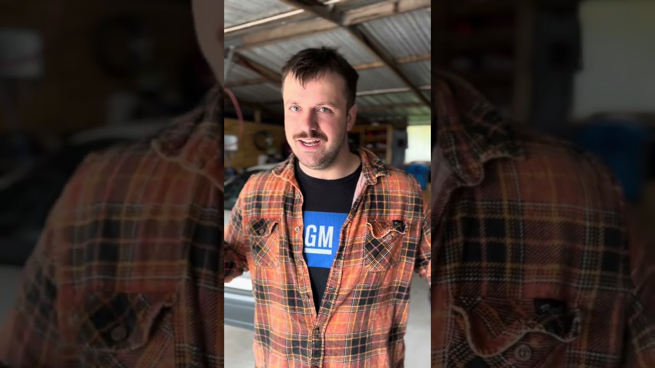 New VN? Convince me not to buy it! #cartok #holden