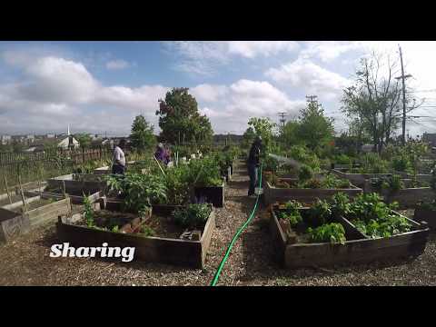 What is Urban Agriculture?