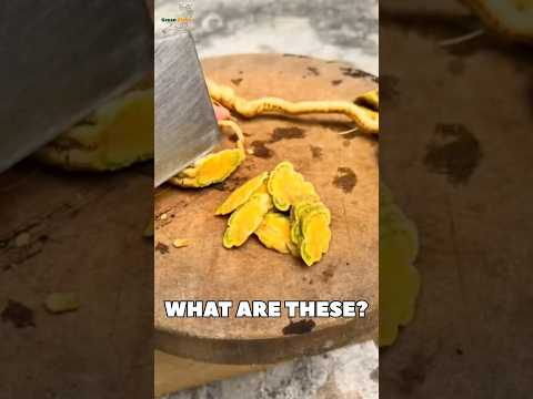 The Surprising Science of Pumpkin Power