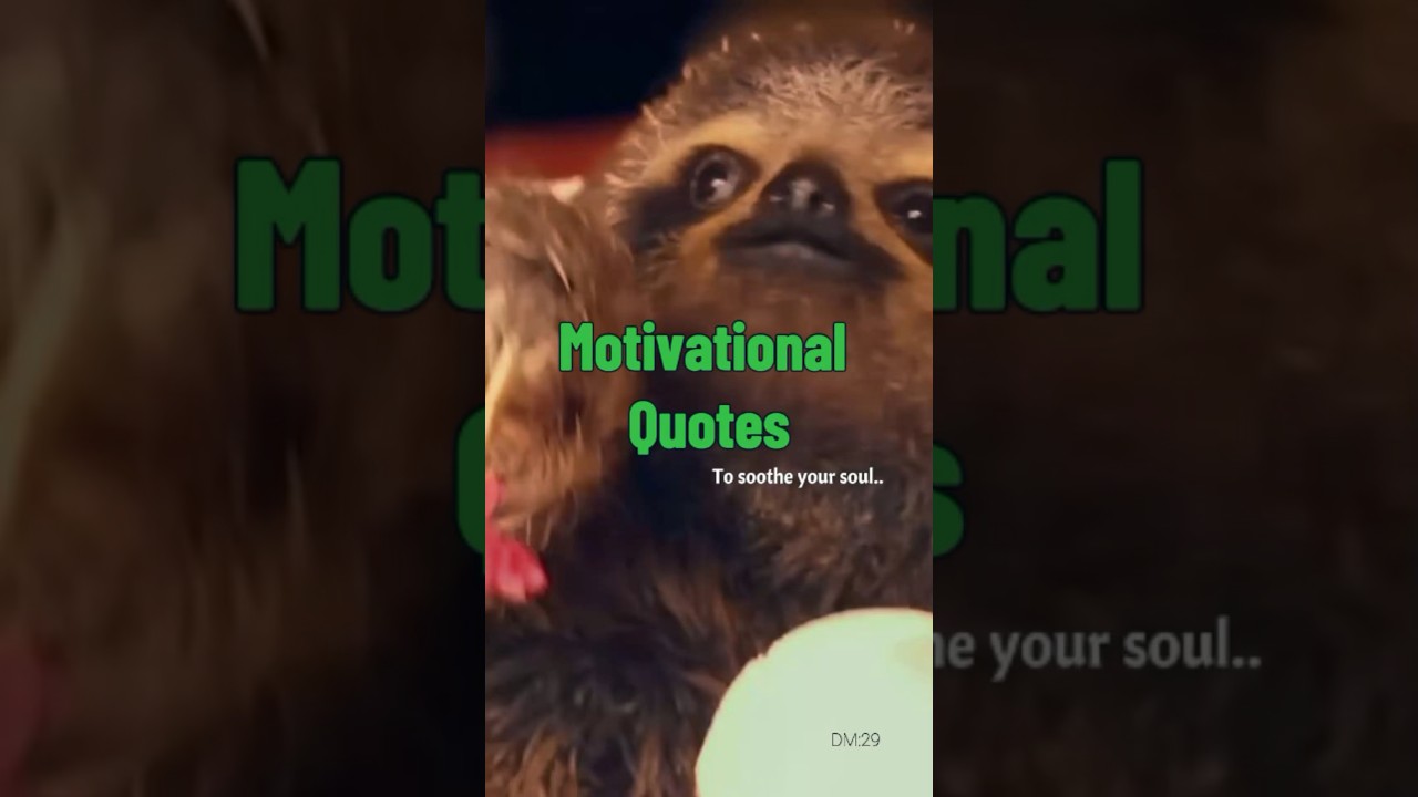 Fuel Your Drive: Quick Motivational Quotes for 2024!