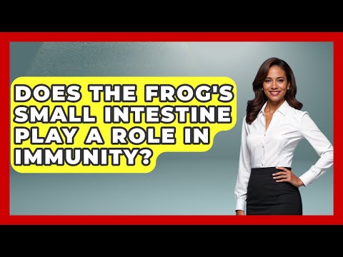 Does The Frog's Small Intestine Play A Role In Immunity? - Reptilian Wonders