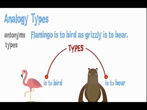 Analogy Types