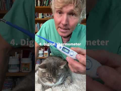 How to know if you cat is sick
