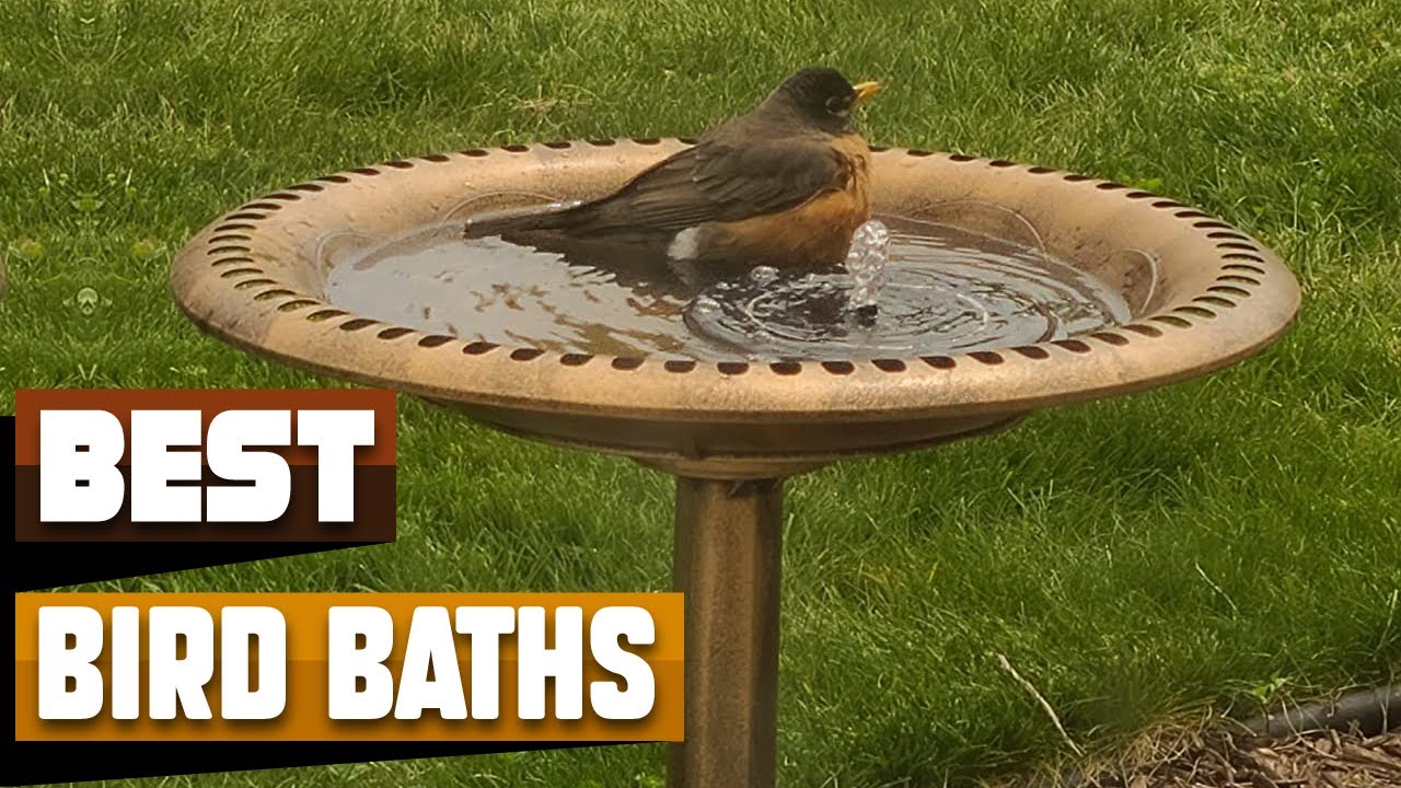 Best Bird Bath In 2026 - Top 10 Bird Baths Review