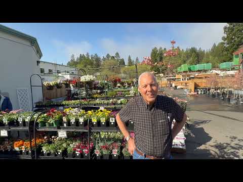 Welcome to B&C Ace Home & Garden Center | Grass Valley’s Trusted Hardware Store Since 1940