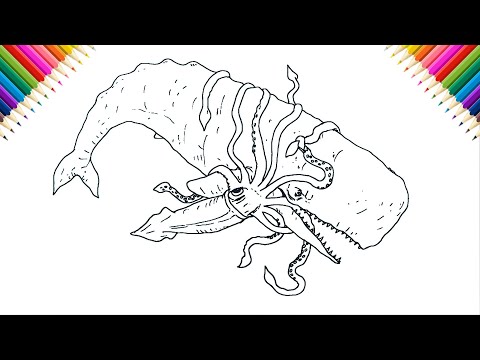Giant Squid vs Sperm Whale How to Draw | step by step