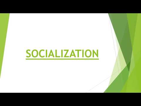 What is Socialization | Advantages of Socialization