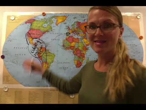 What is a colony?