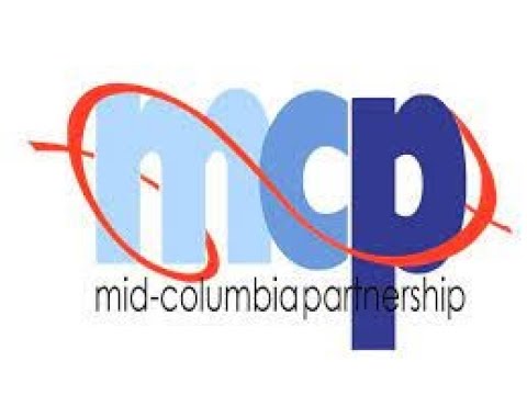MCP Online Google Form Video