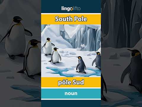 🇬🇧🇫🇷 South Pole - pôle Sud : learn English : apprenons l'anglais : vocabulary builder