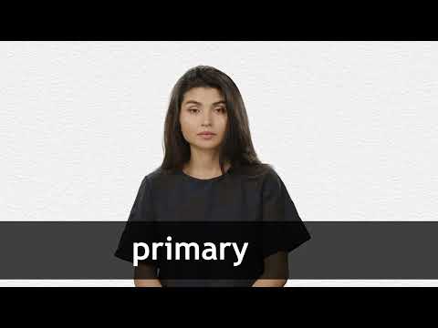 How to pronounce PRIMARY in American English