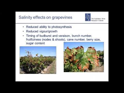 Salinity – practical information for growers