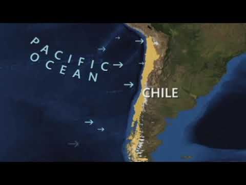 Mist Catcher: Collecting Water for t…: English ESL video lessons