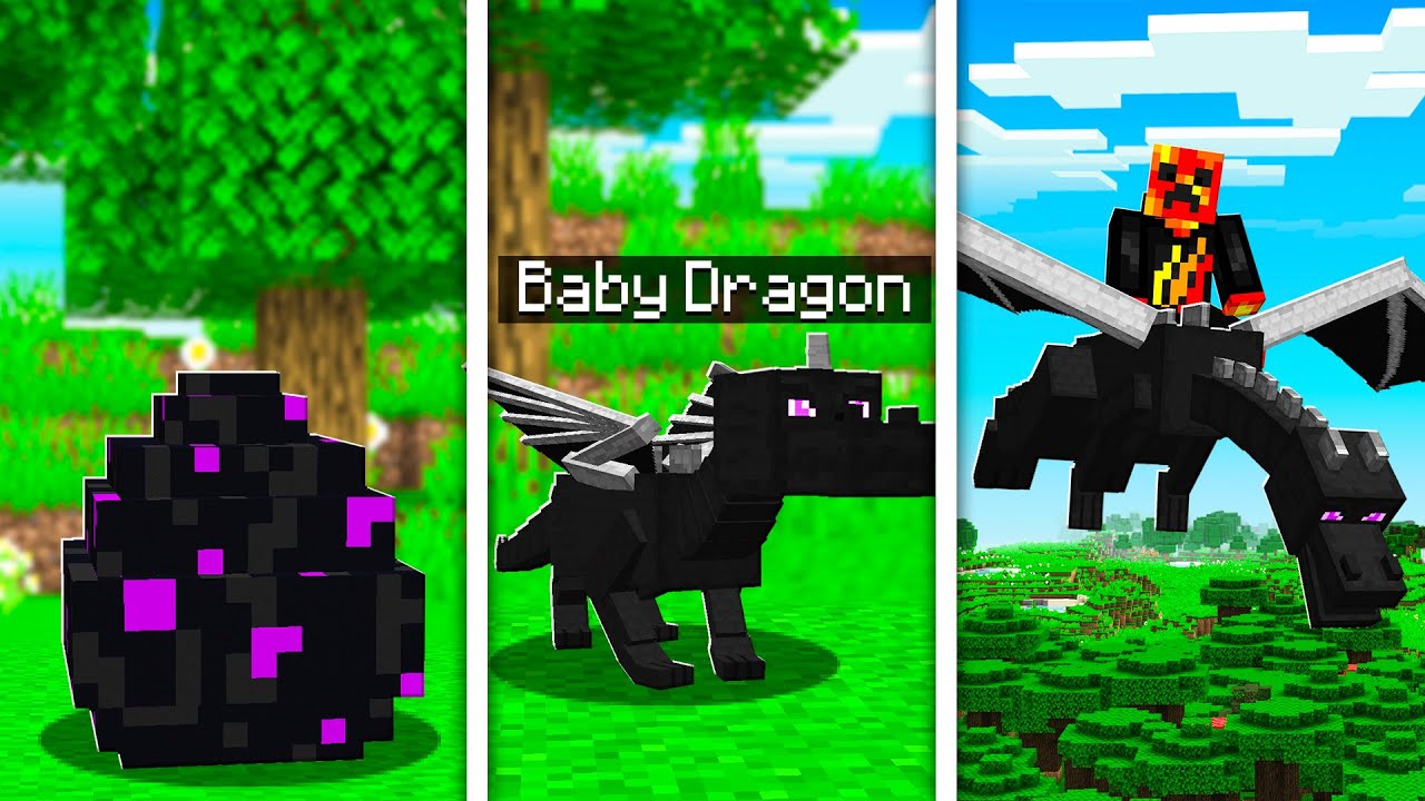 How to Train Your Dragon in MINECRAFT! (Pet Ender Dragon)