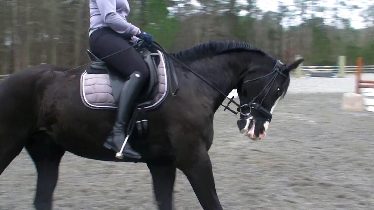 Phantom Feb 2019 Medium Work